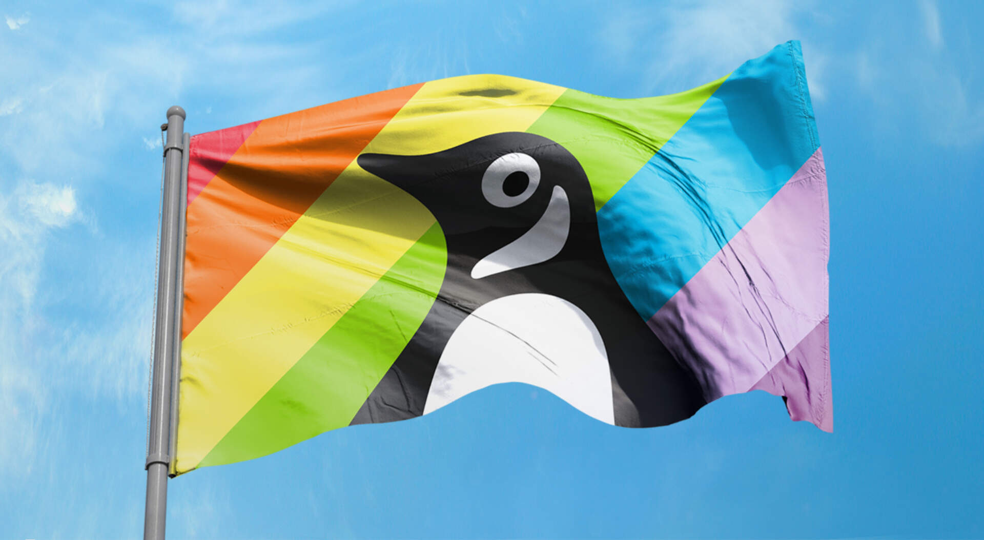Penguin Pride — Fieldwork — A Design and Technology Studio