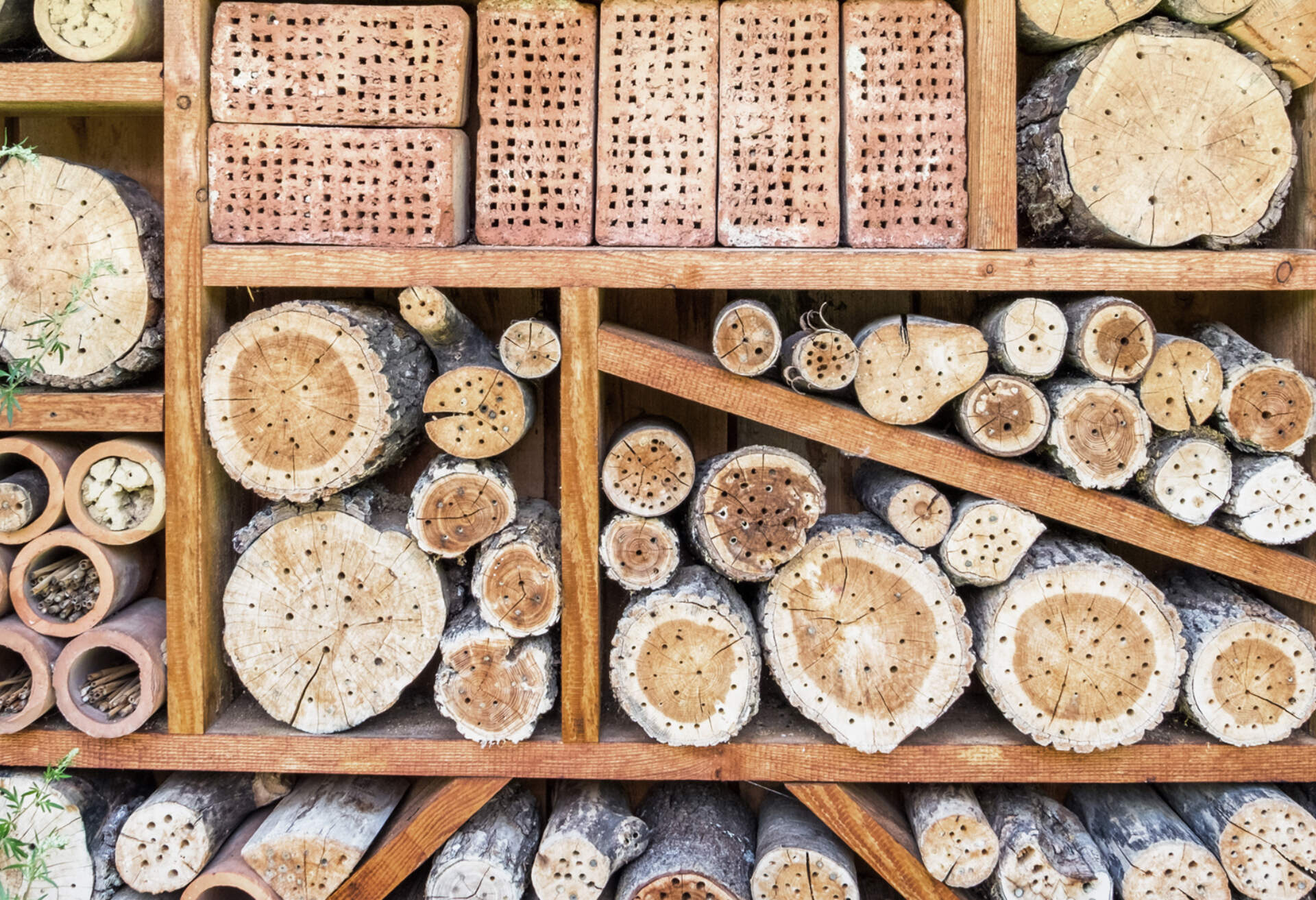 Friends of the Earth Nature Kit — Fieldwork — A Design and Technology ...